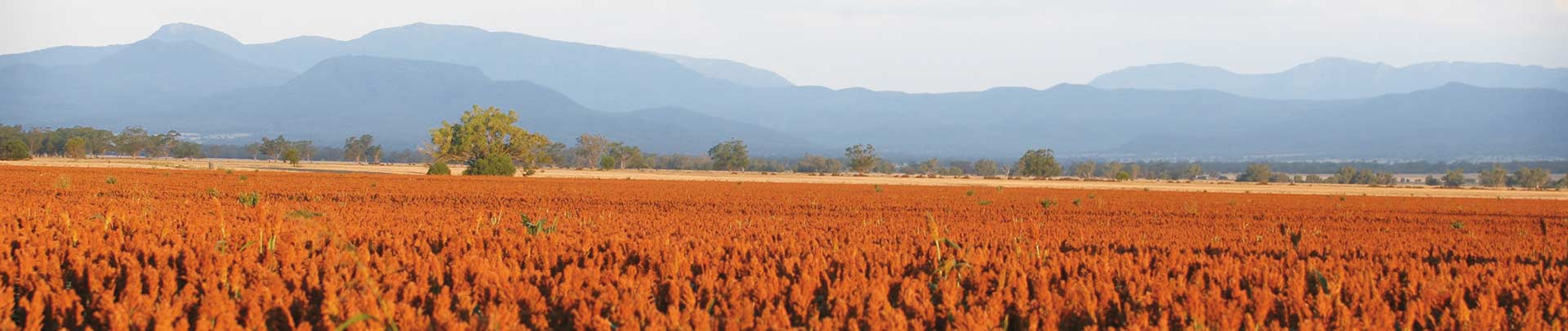 Community - ADM Trading Australia Pty Ltd